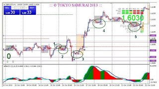 Tips Open Order Tokyo Samurai Bagian 1 - Tradingan